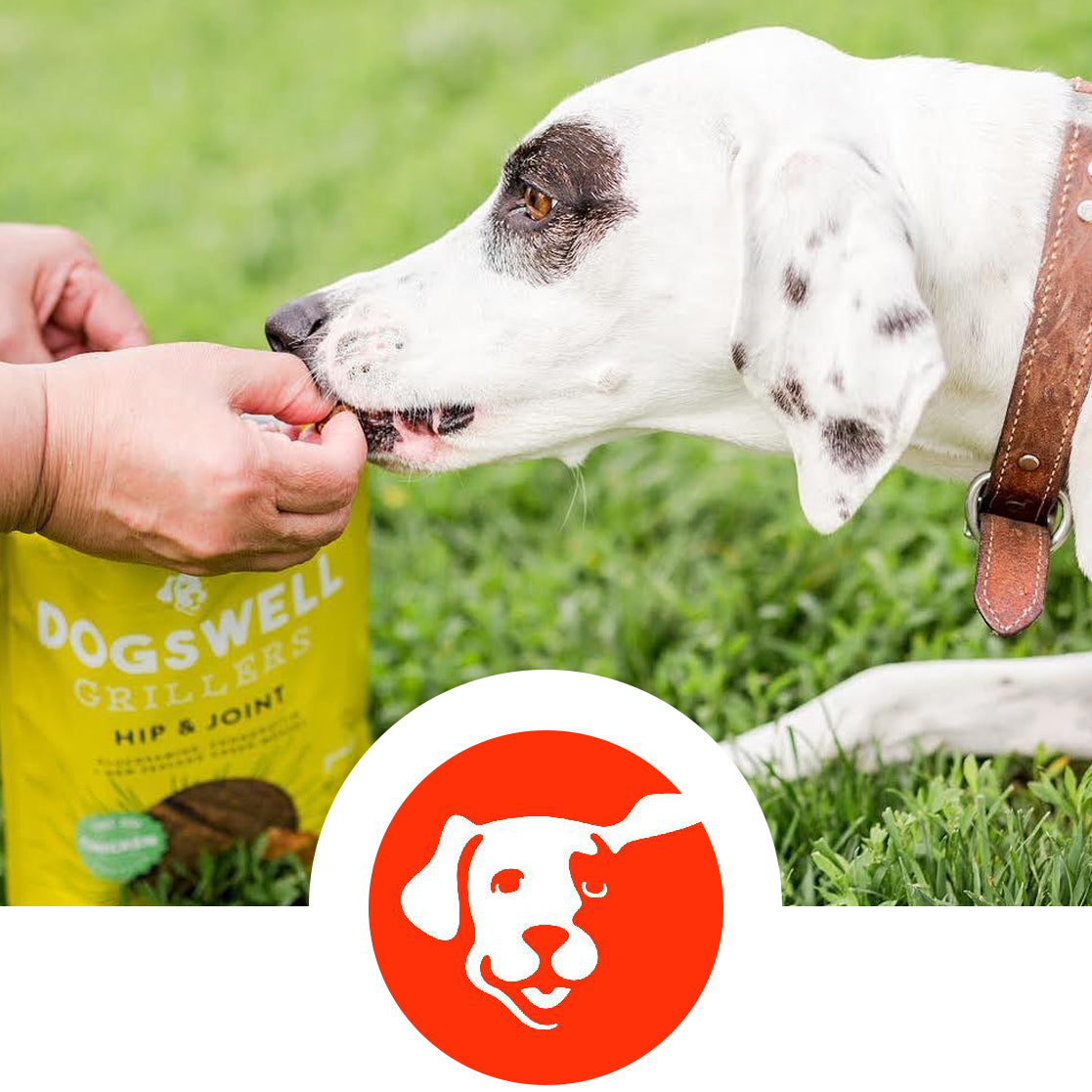 Doggie Style Pets Marketnull