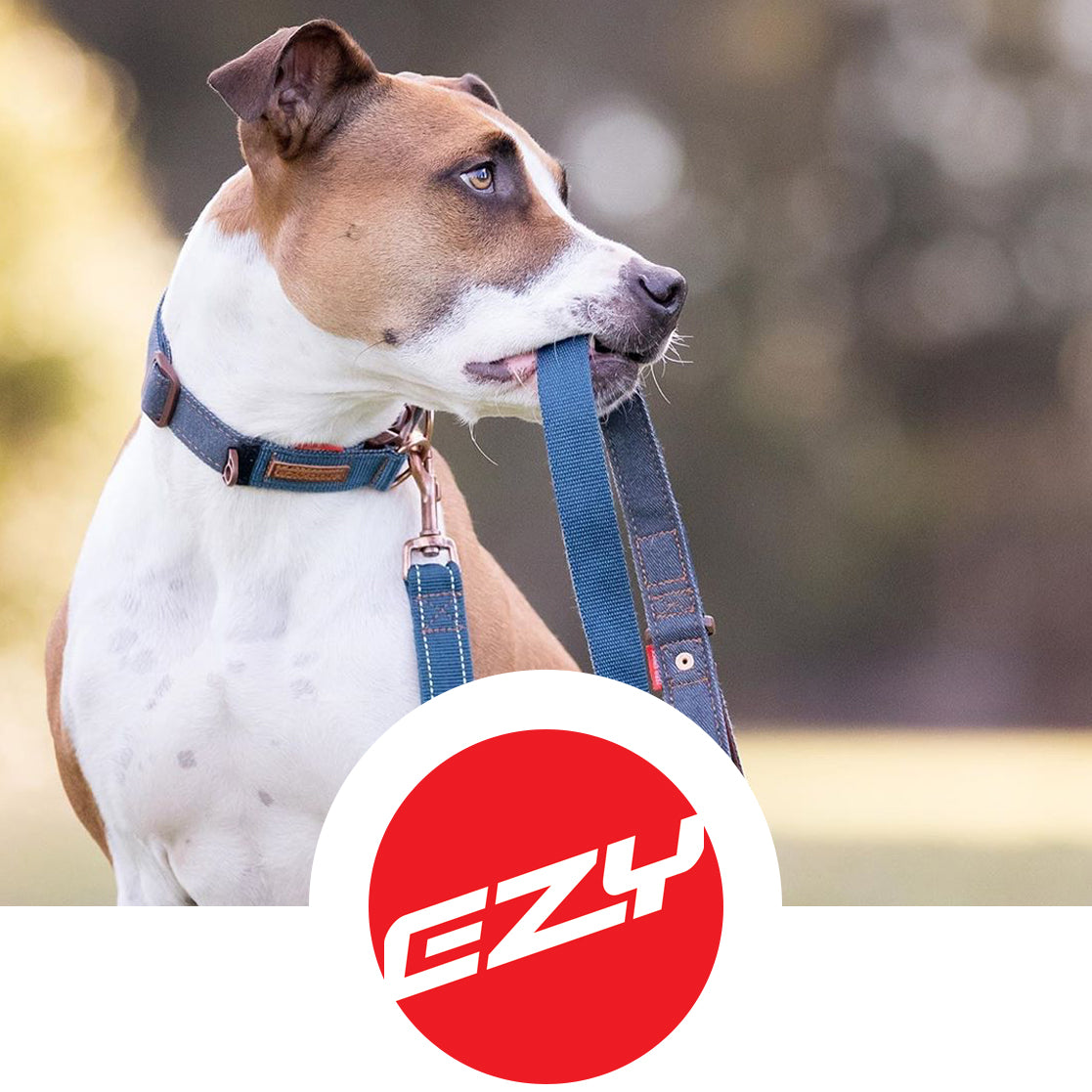 Brands – Doggie Style Pets