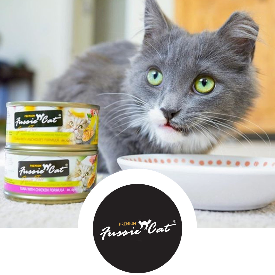 Brands – Doggie Style Pets