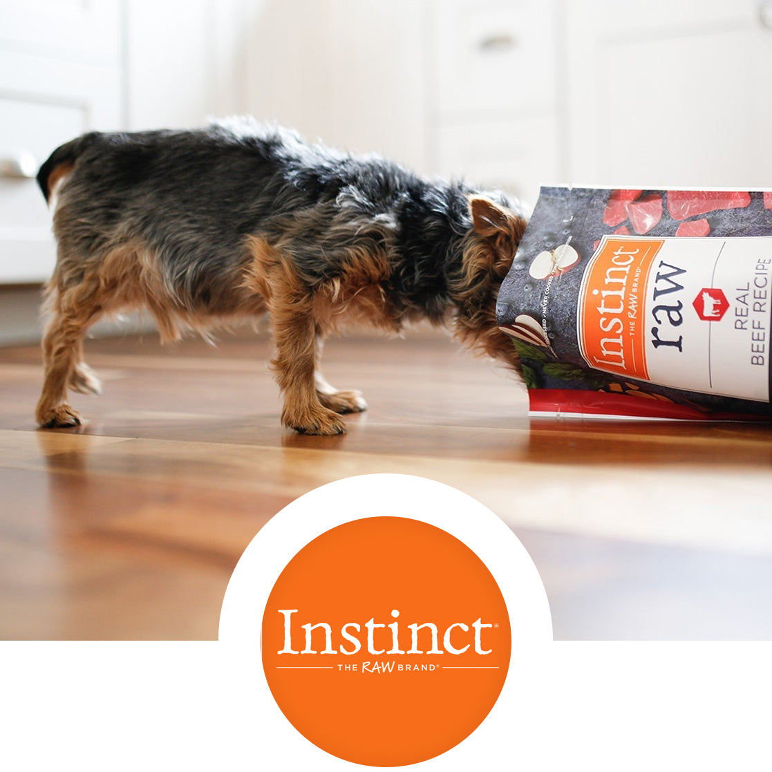 Brands – Doggie Style Pets