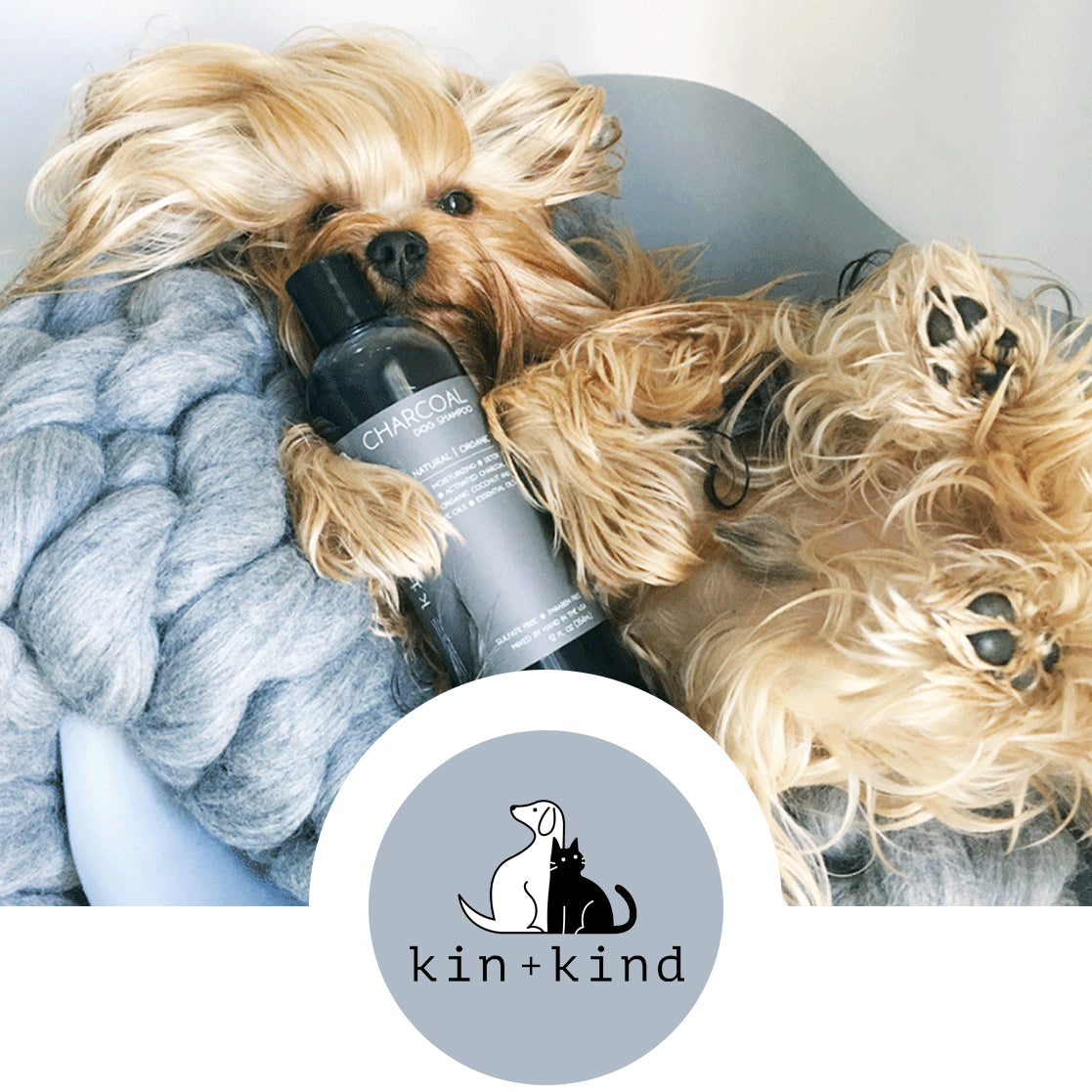 Brands – Doggie Style Pets