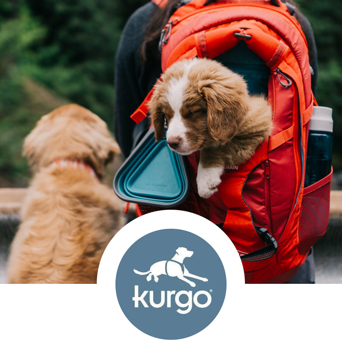 Brands – Doggie Style Pets