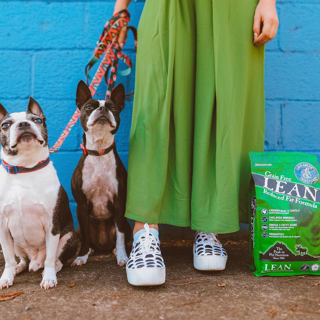 Philadelphia Pet Supplies | Doggie Style Pets